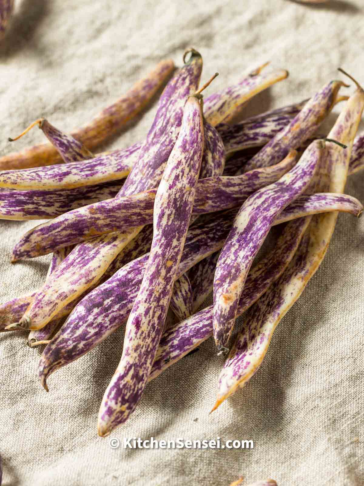 Vegetables that start with D - kitchen Sensei